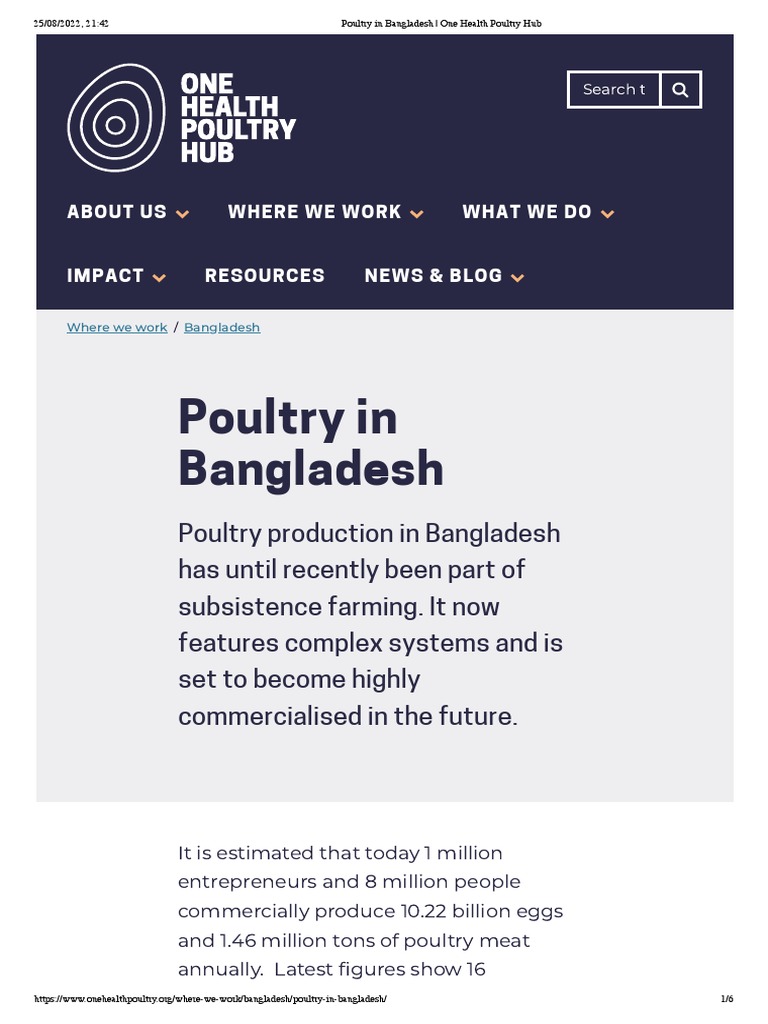 Poultry in Bangladesh - One Health Poultry Hub | PDF | Avian Influenza | Health Sciences
