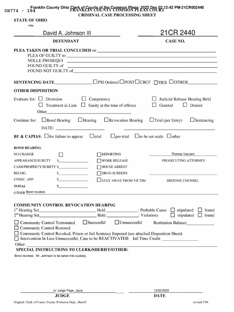 David Johnson Criminal Case Processing Sheet | PDF