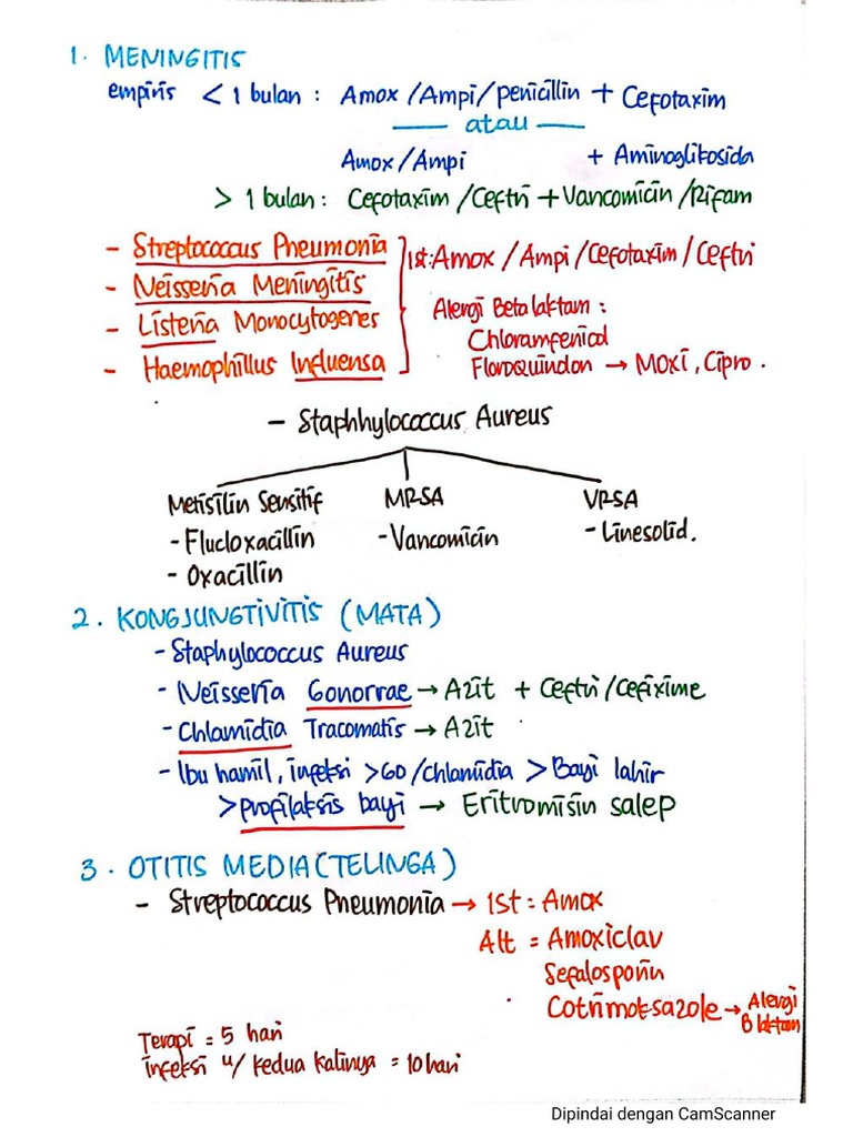 Catatan Antibiotik - 221011 - 233844 | PDF
