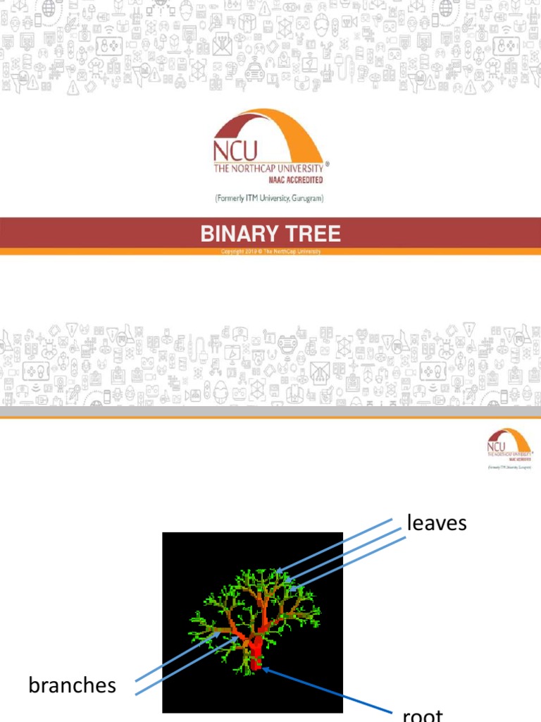 Binary Tree Pdf Computer Science Algorithms And Data Structures