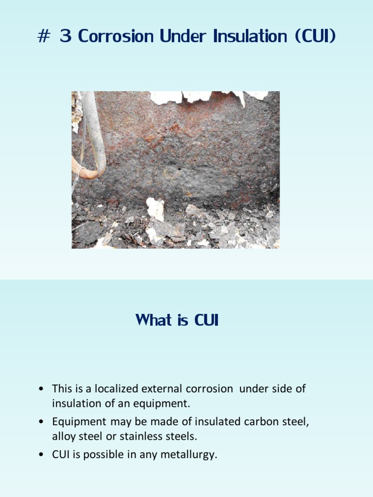 Corrosion Under Insulation in Process Industry | PDF | Corrosion | Stainless Steel