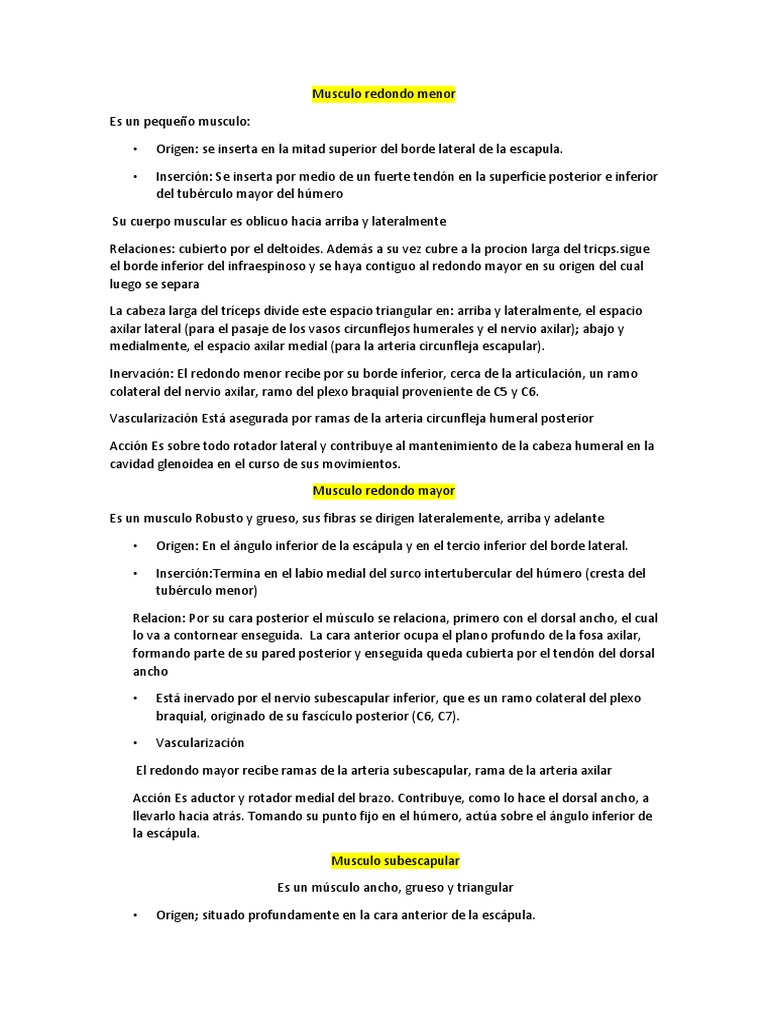 Musculo Redondo Menor | PDF | Anatomía humana | Sistema musculoesquelético