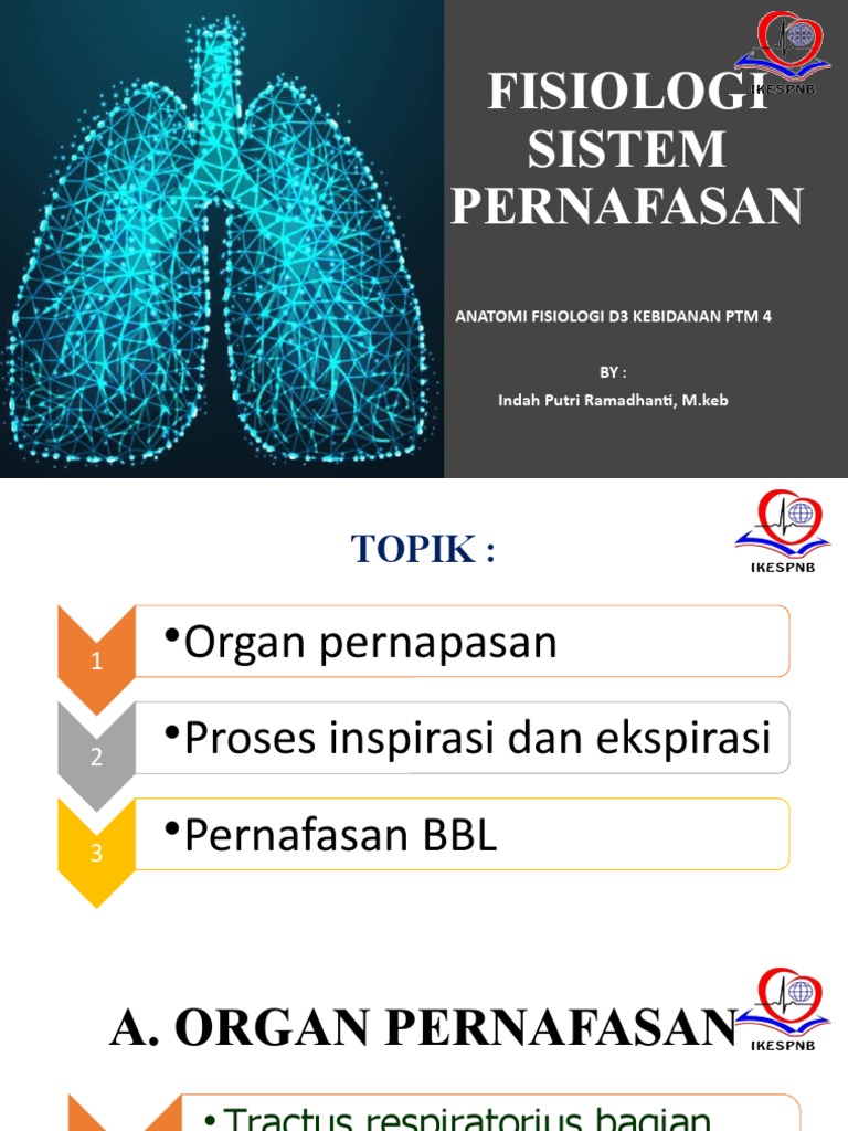 PTM 4 Anatomi Fisiologi | PDF