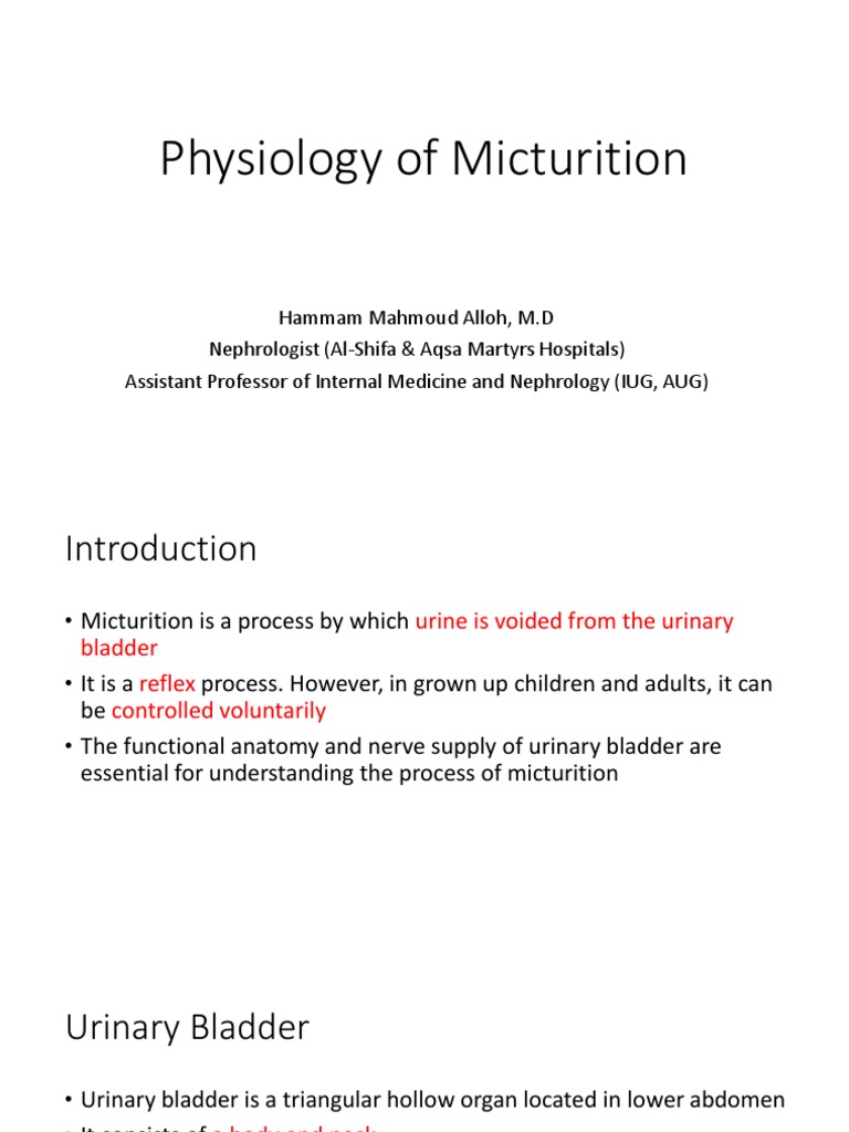 Micturition 2022 | PDF | Urination | Urinary Bladder
