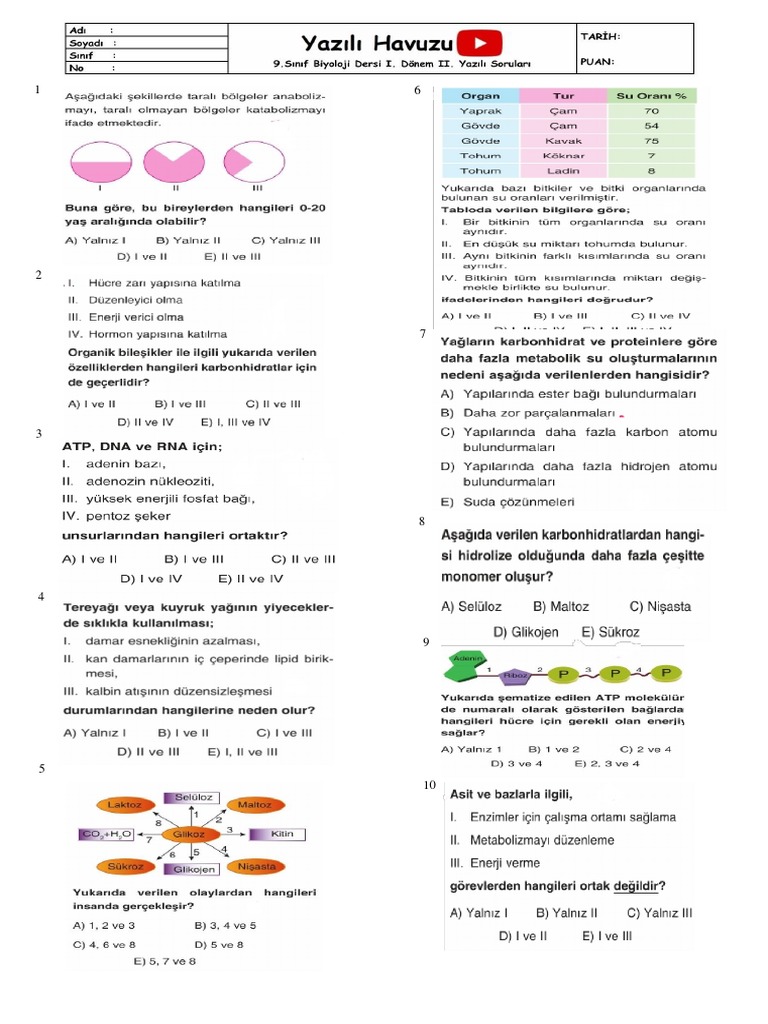 9 - Sınıf 1 Dönem 2 Yazılı (YAZILI HAVUZU) | PDF