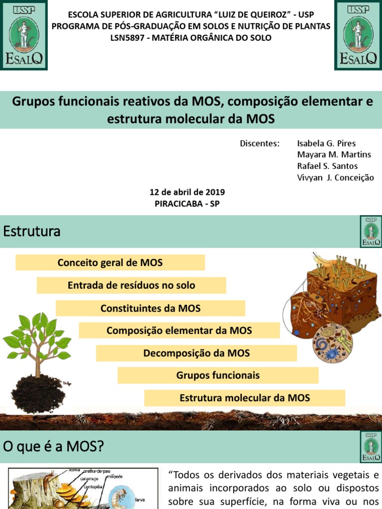 Grupo 1 - Grupos Funcionais Reativos Da MOS | PDF | Solo | Decomposição