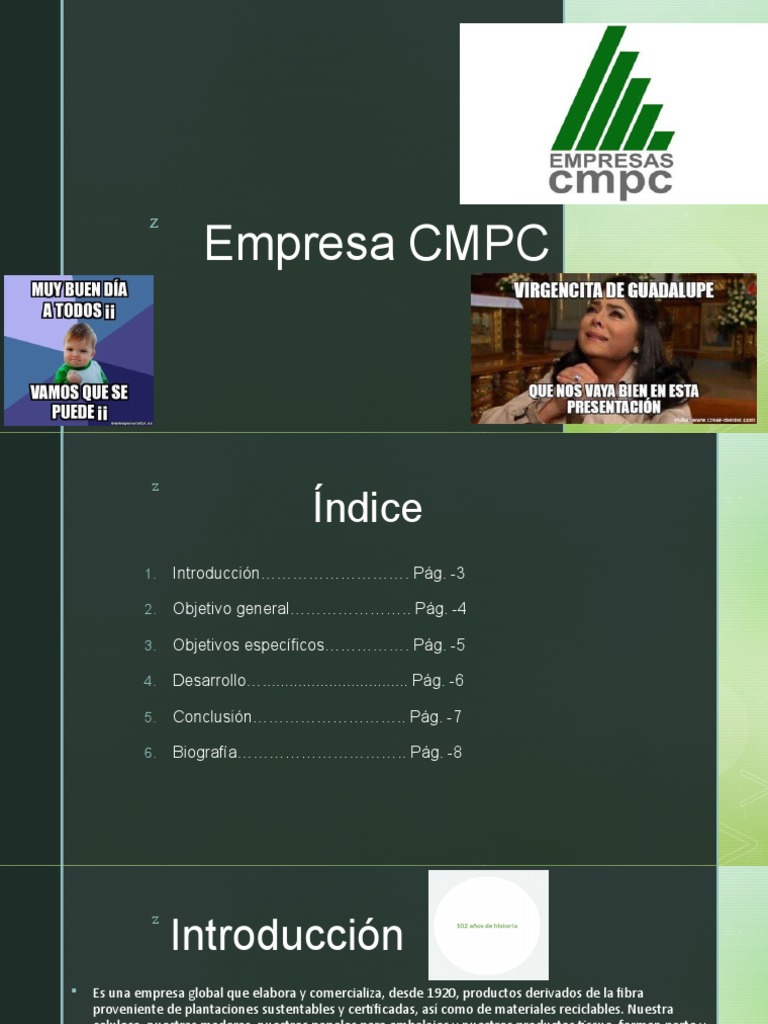 Empresa CMPC | PDF | Business | Economias