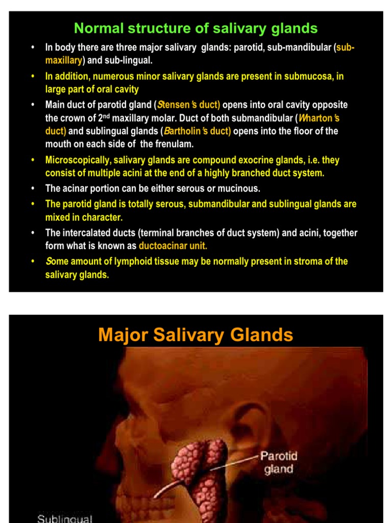 Diseases of the Salivary Gland