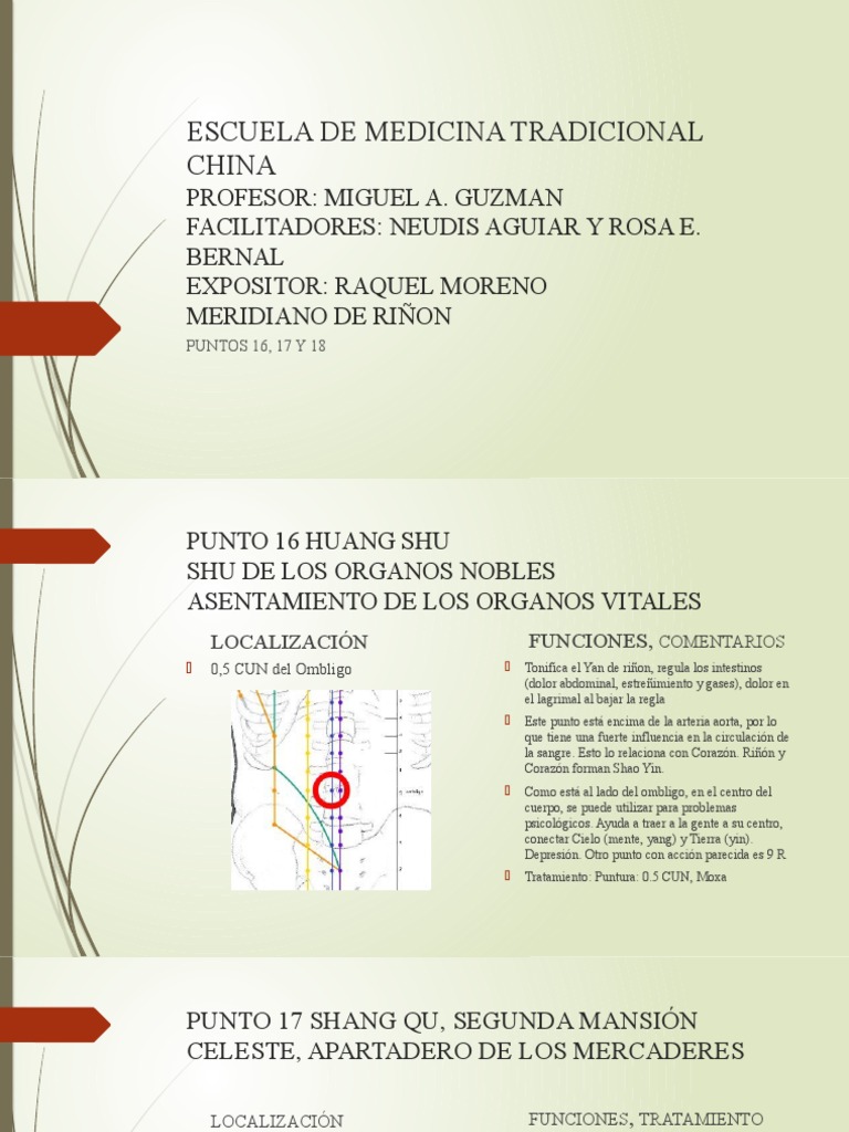 Meridiano de Riñon | PDF