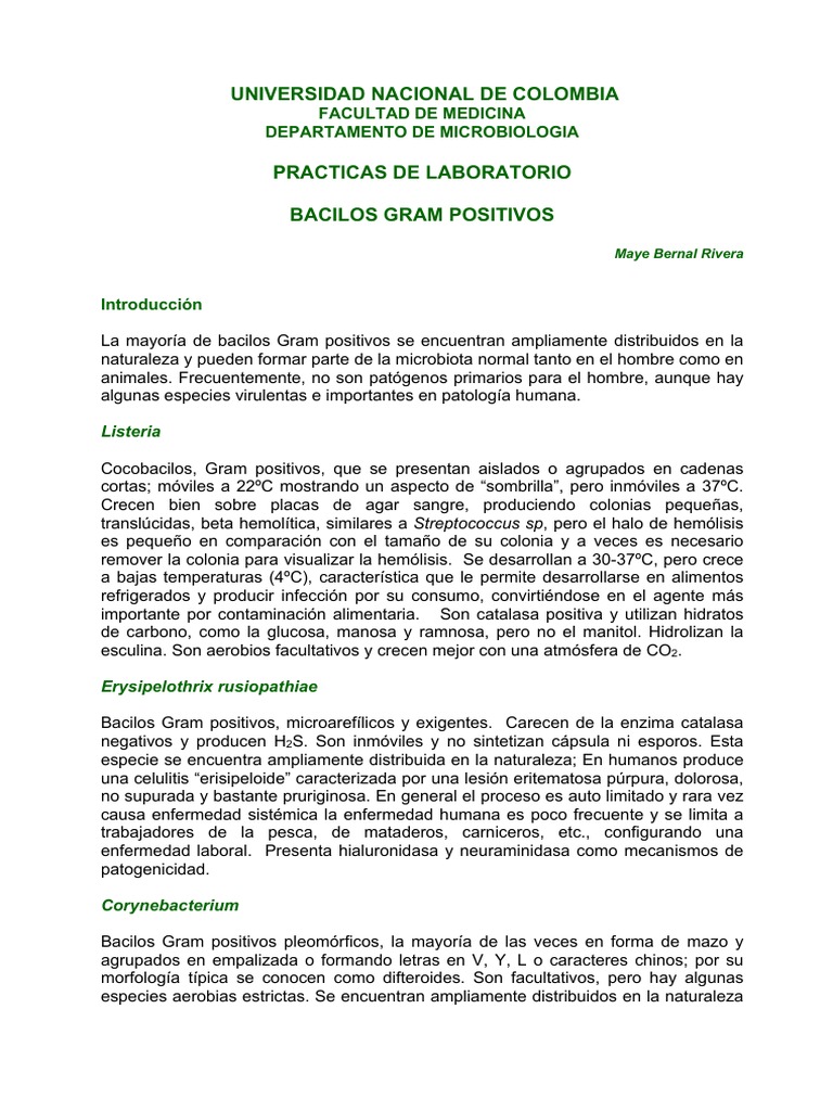 6 Bacilos Gram - Positivos | PDF | Bacilo | Especialidades Medicas