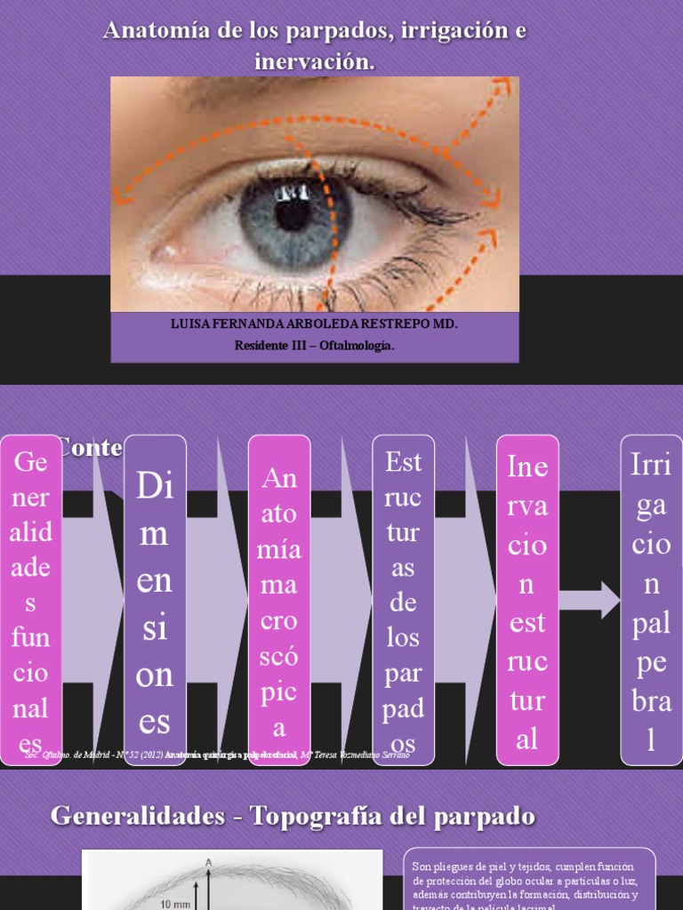 Anatomia de Los Parpados | PDF | Anatomía | Anatomía humana
