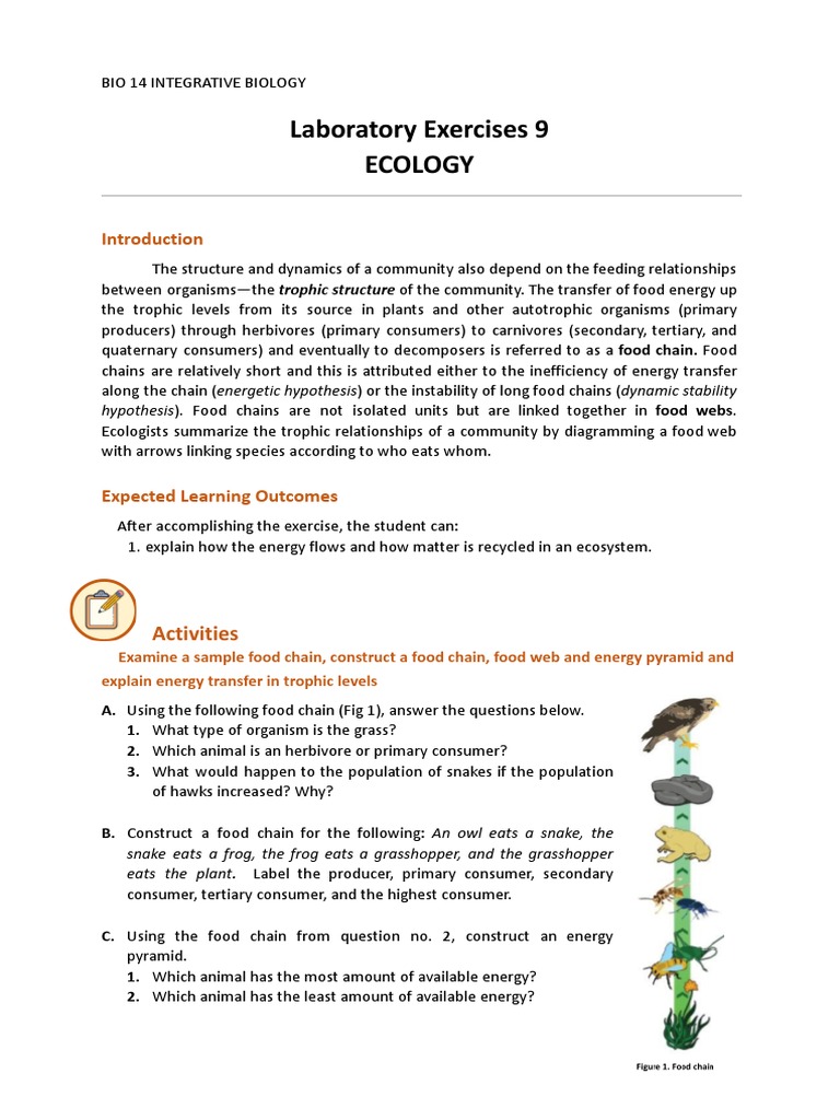 Bio 14 LAB Exercise 9 Ecology | PDF | Food Web | Herbivore