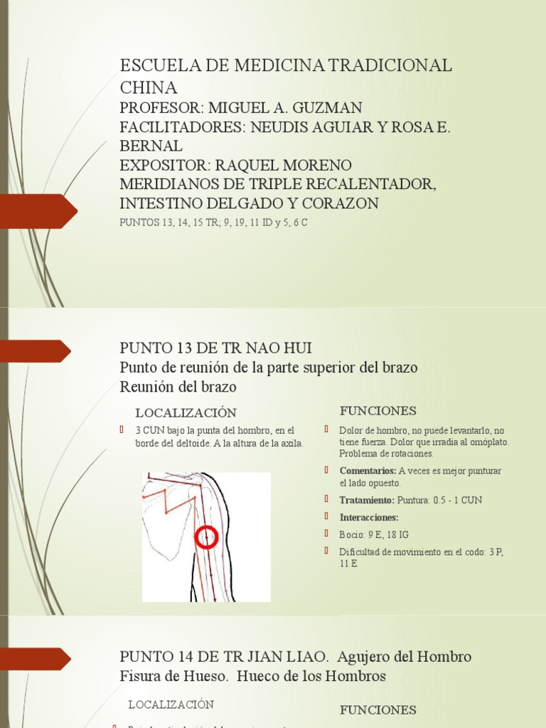 Meridiano de Triple Recalentador y Corazon | PDF | Hombro ...