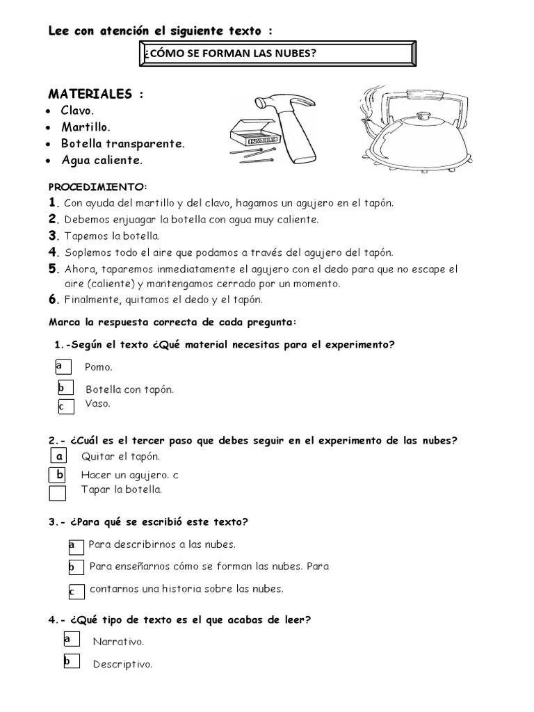 Ficha Texto Instructivo | PDF