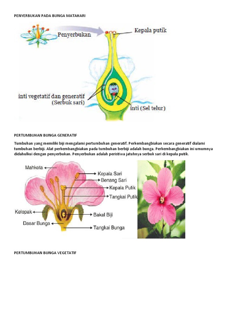 Penyerbukan Bunga | PDF