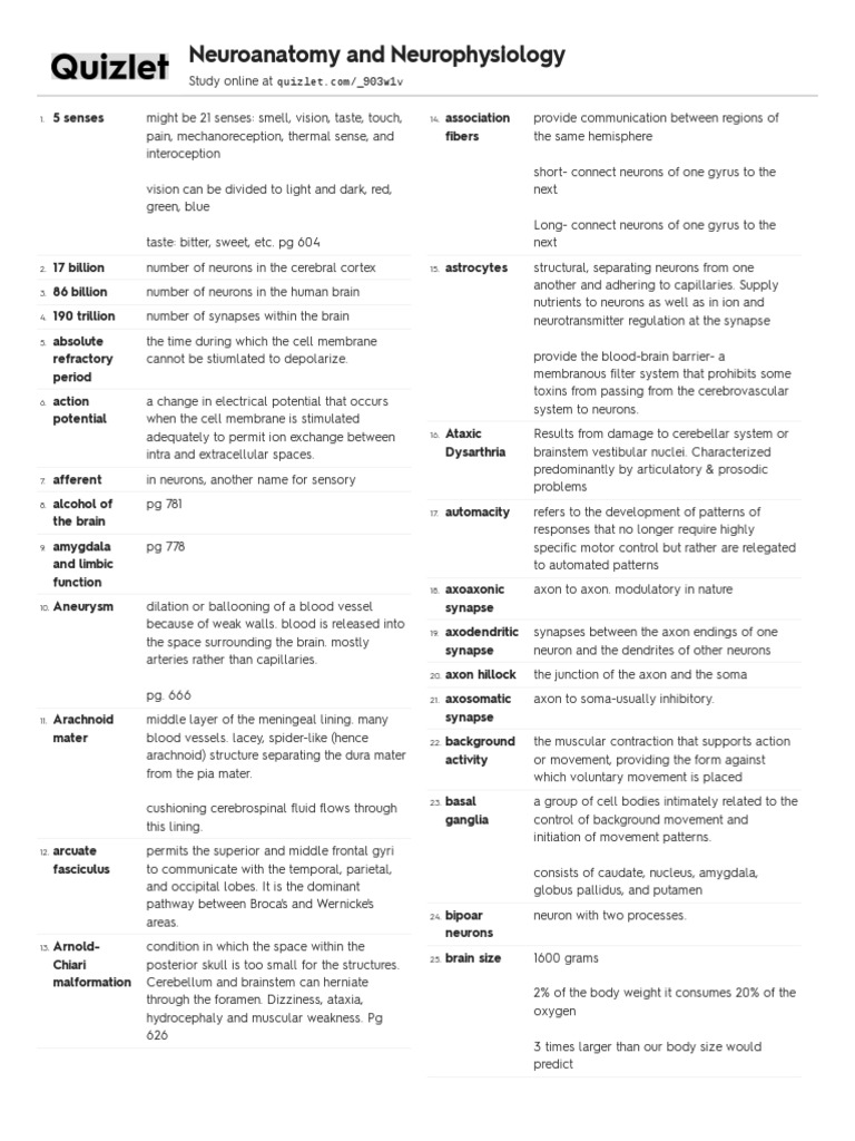 Neuro Notes | PDF | Central Nervous System | Axon