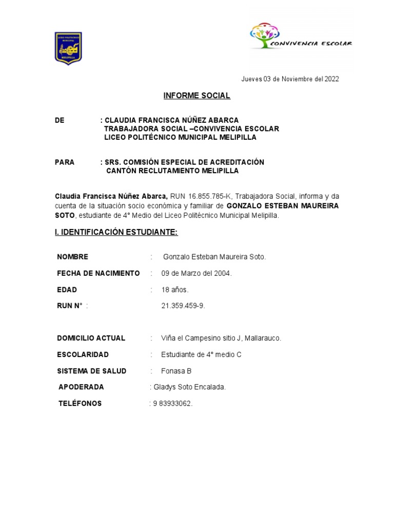 Informe Social Gonzalo Maureira | PDF