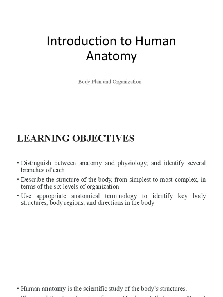 Chapter 1 Introduction To Human Anatomy Pdf Anatomical Terms Of