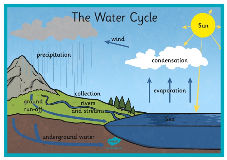 The Water Cycle Large Display Poster A4 | PDF