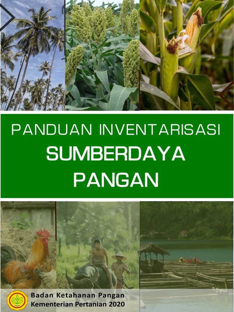 Panduan SDP 2020 Final | PDF