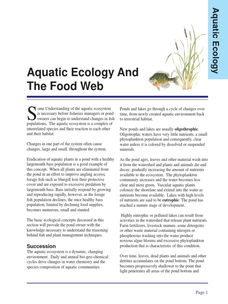 Aquatic Ecosystem and Food Web Dynamics | PDF | Food Web | Pond