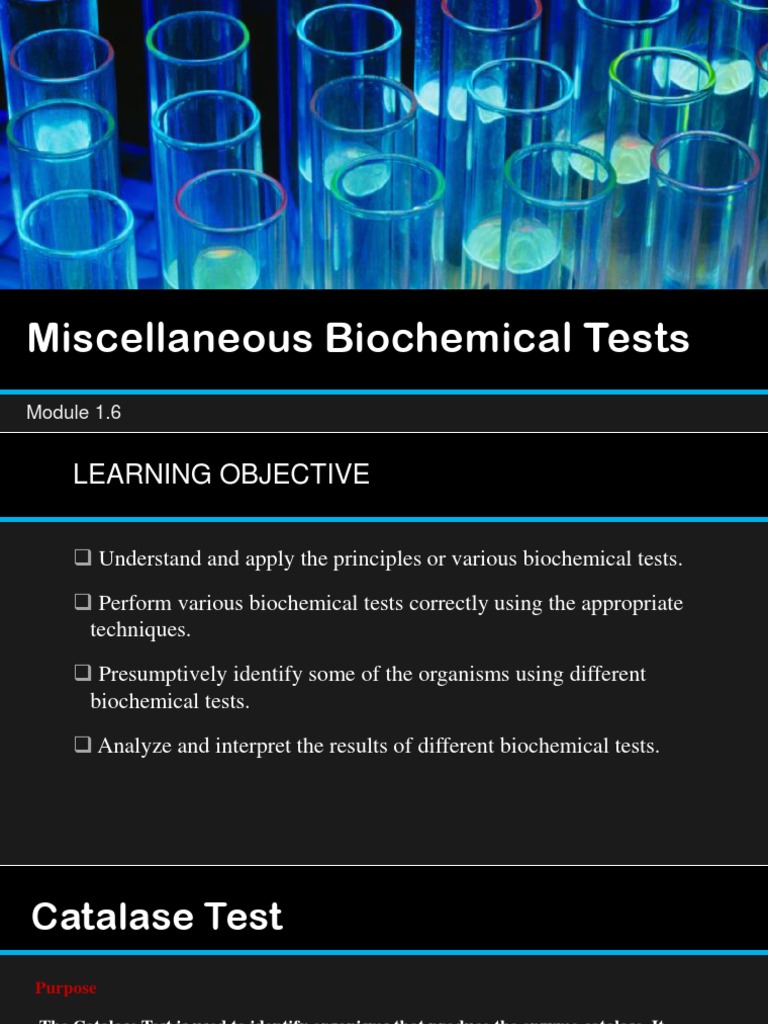 Essential Biochemical Tests Overview | PDF | Bacteria | Microbiology