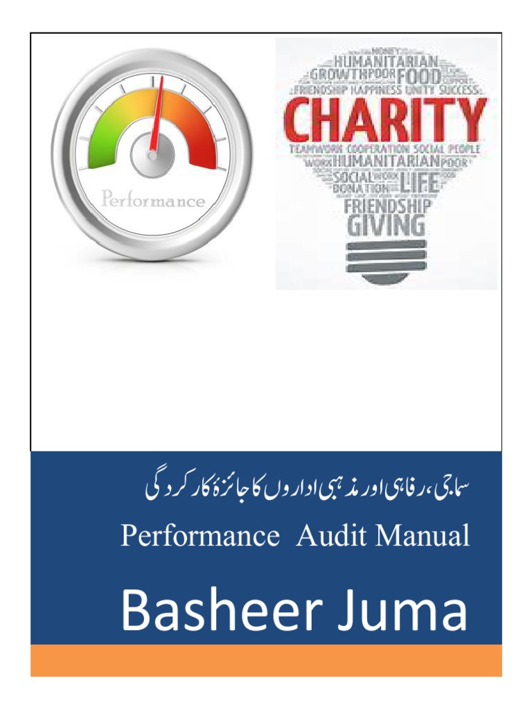 Performance Audit | PDF