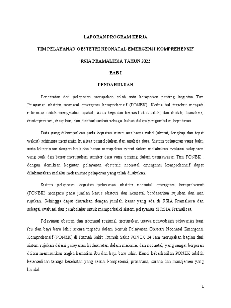 Laporan Program Kerja 2022 | PDF