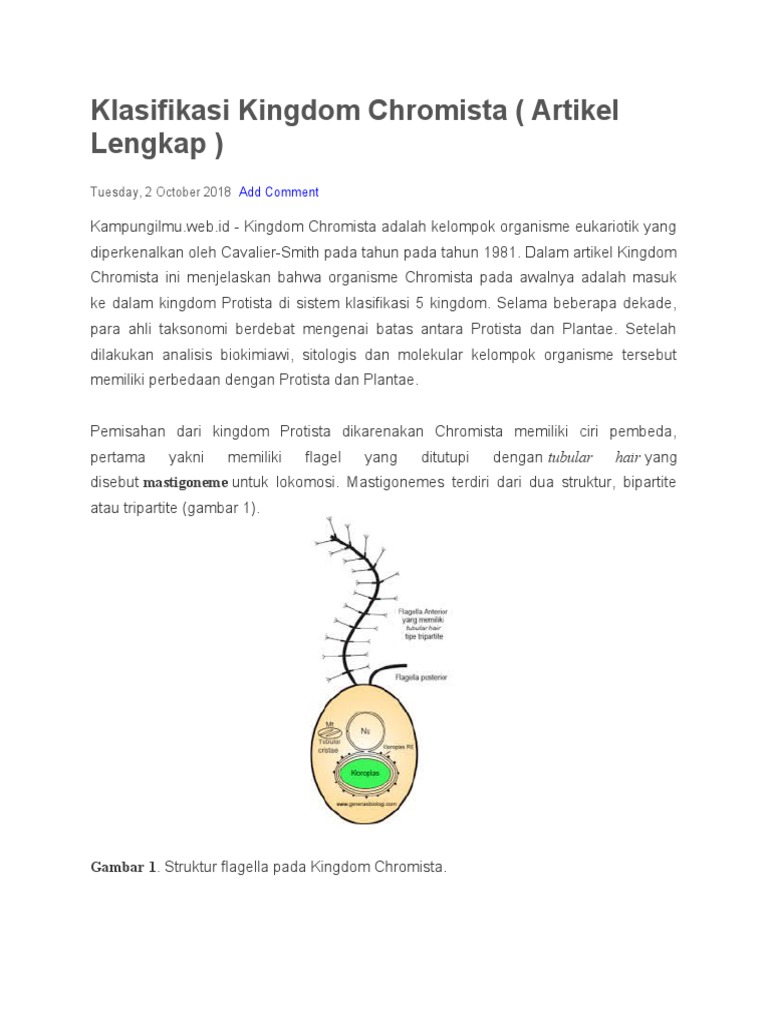 Klasifikasi Kingdom Chromista | PDF