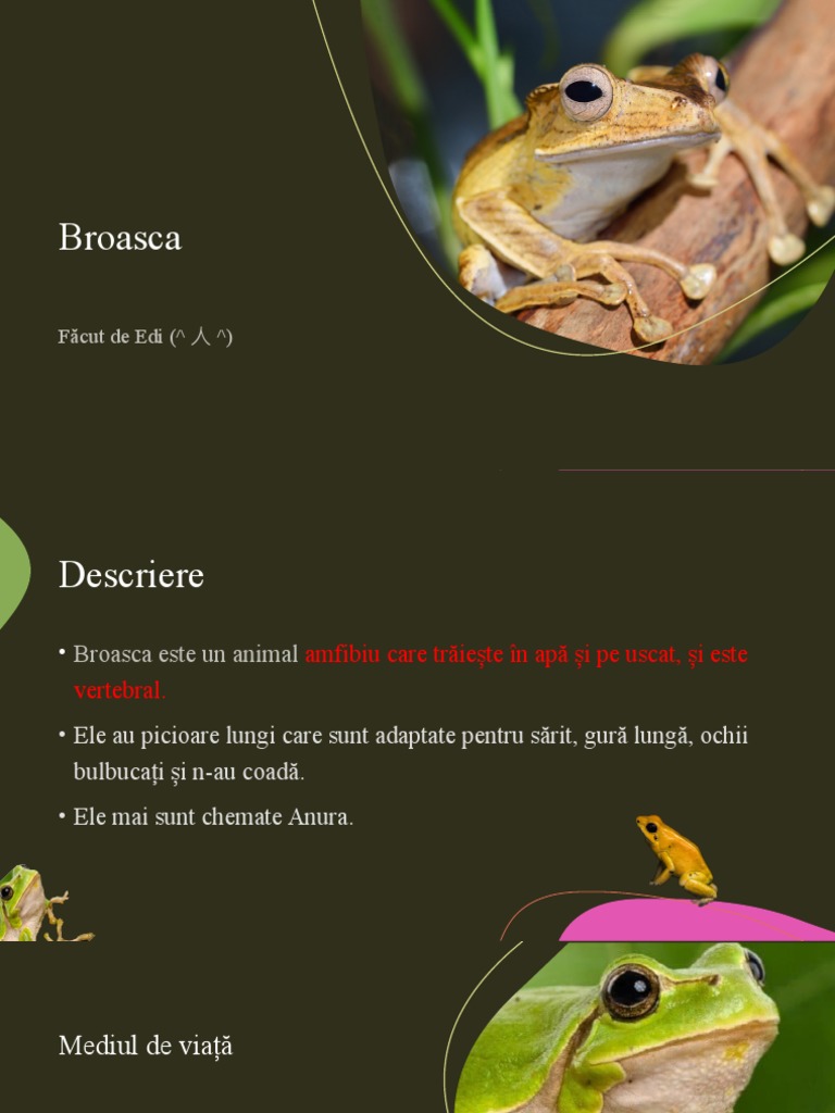 Despre Broasca | PDF