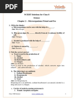 Multiple Choice Questions Class 5 Science | PDF | Seed | Bacteria