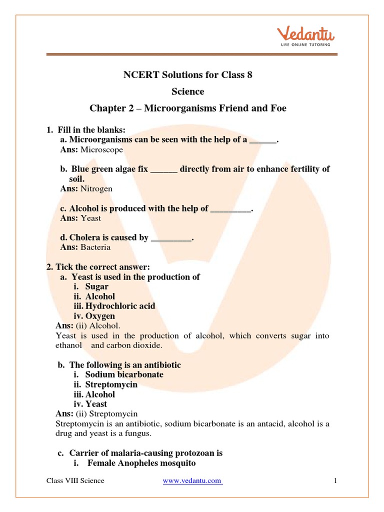 Class 8 - Science - Microorganisms - Friend and Foe | PDF ...