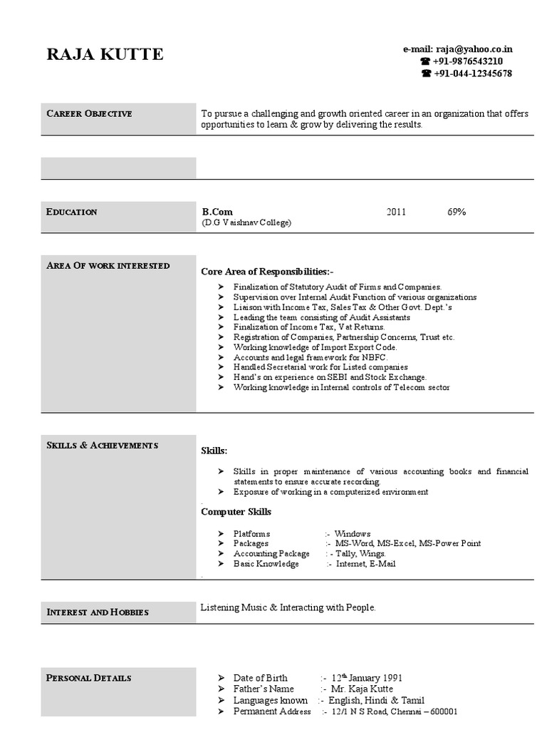 Chartered Accountant Professional Resume | PDF | Audit | Business