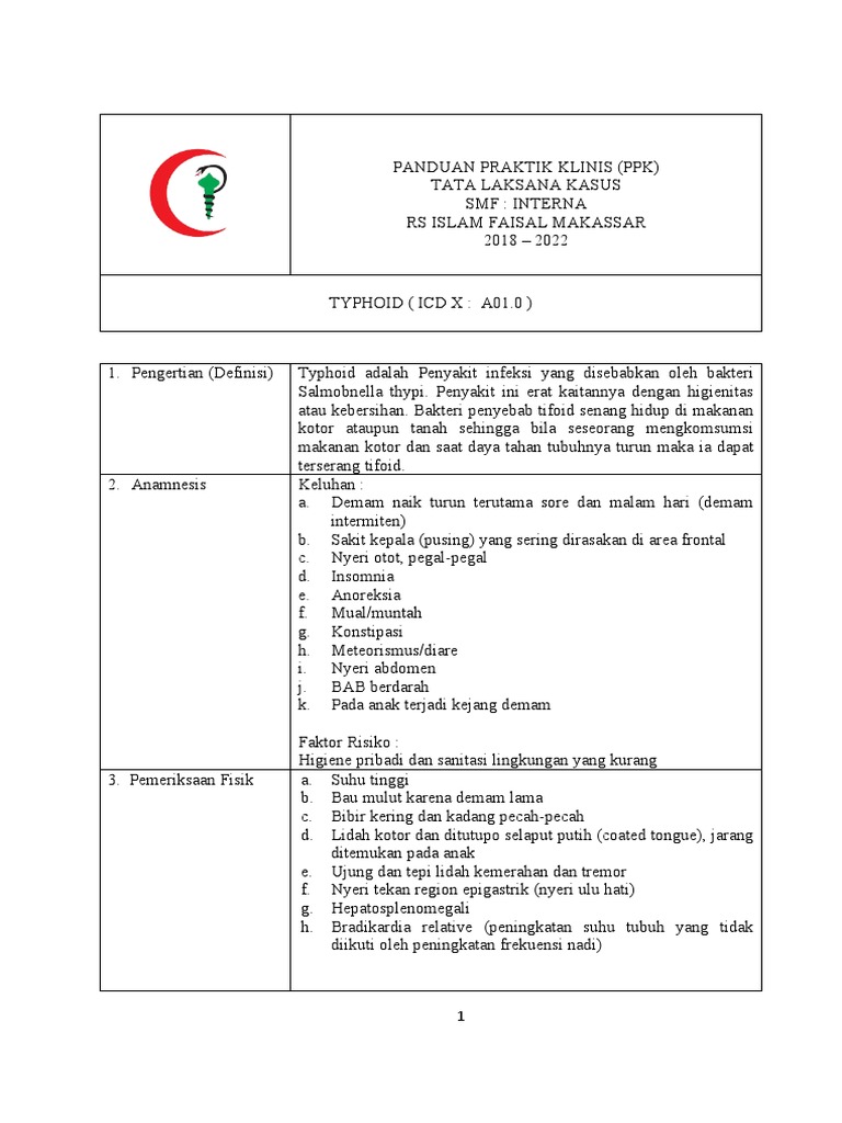 PPK DEMAM TYPHOID New | PDF