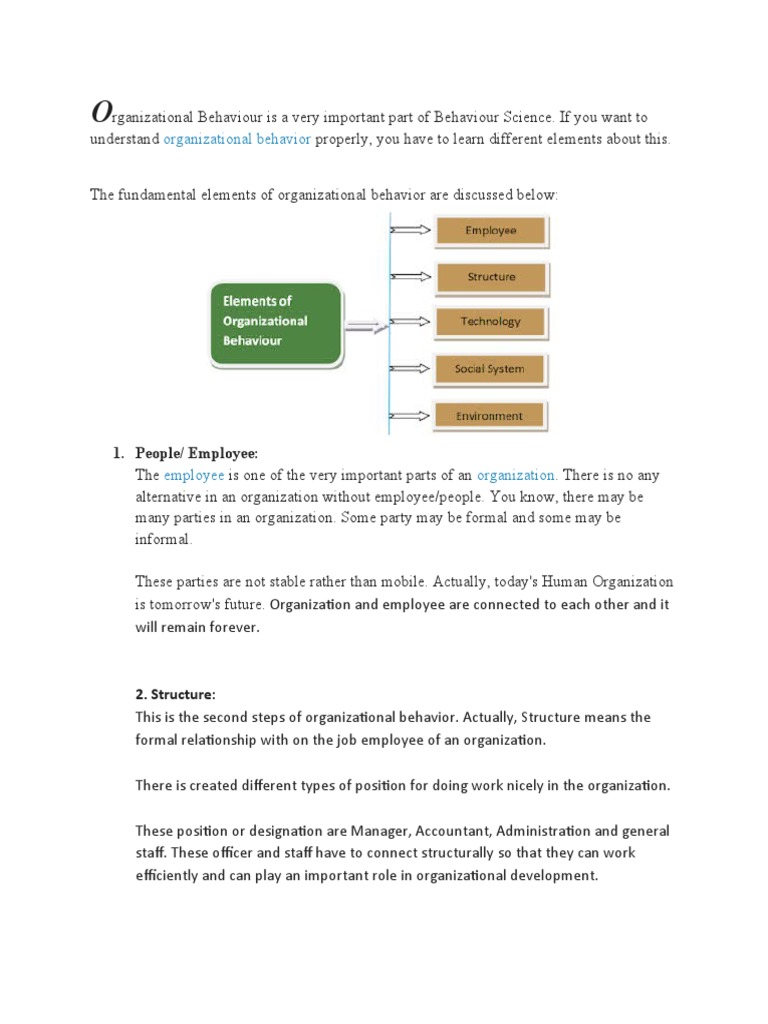 Elements of OB | PDF | Organizational Behavior | Behavior