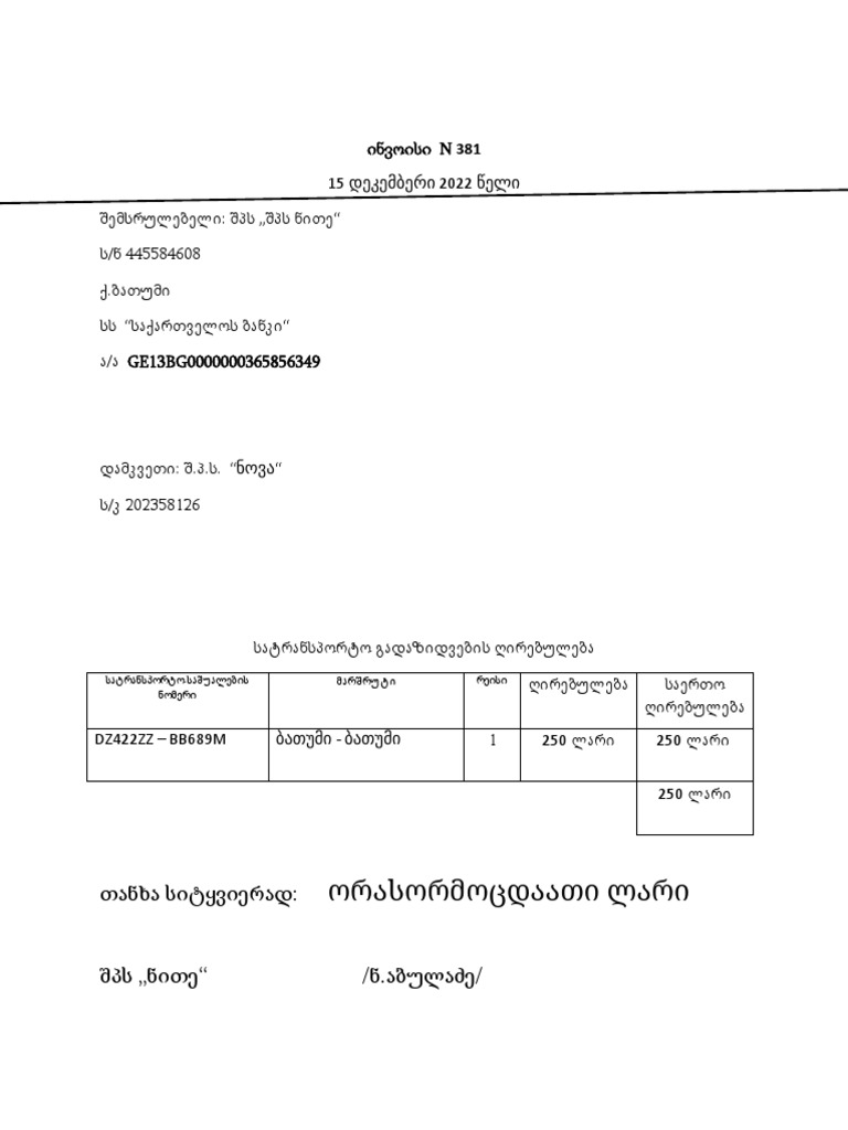 ინვოისი 381 | PDF
