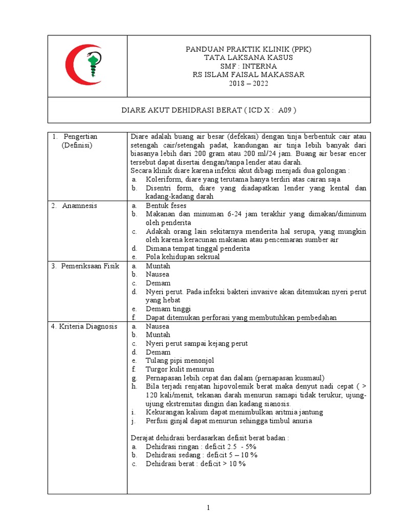 PPK Diare Akut Dehidrasi Berat | PDF