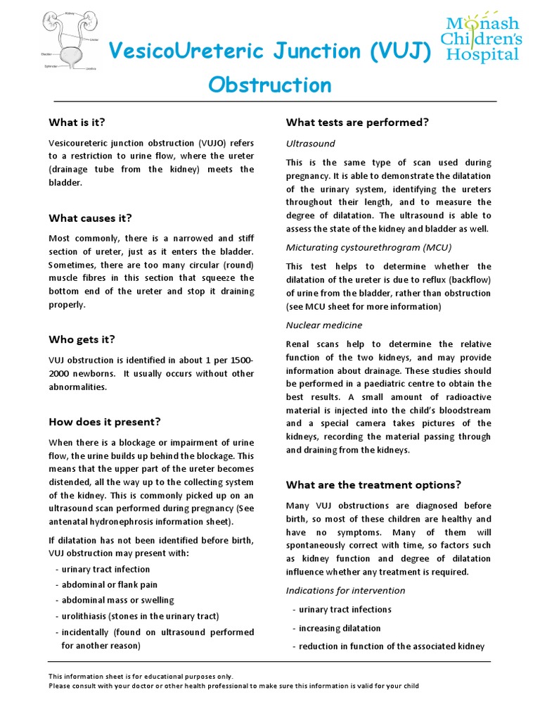 Vuj Obstruction | PDF | Urinary Bladder | Urinary System