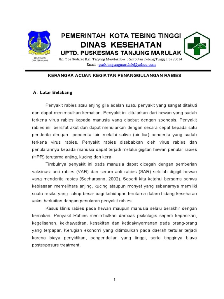 kAK KEGIATAN PENANGGULANGAN RABIES | PDF