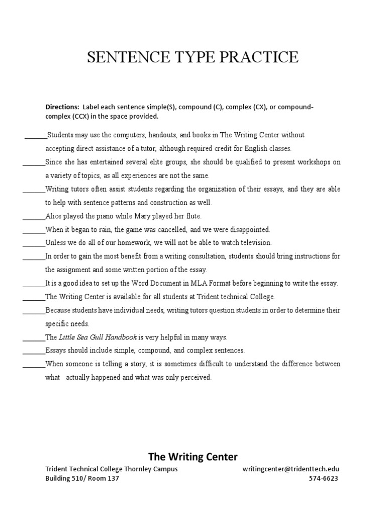 Sentence Type Practice Handout | PDF | Art