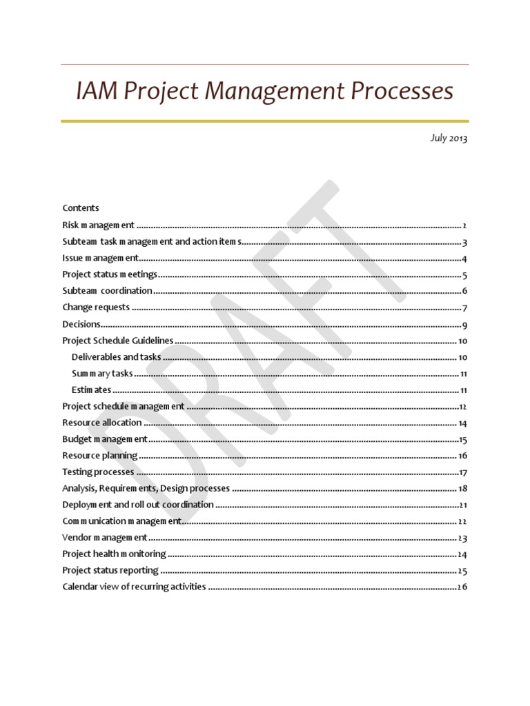 IAM Project Management Processes | PDF | Project Management | Use Case