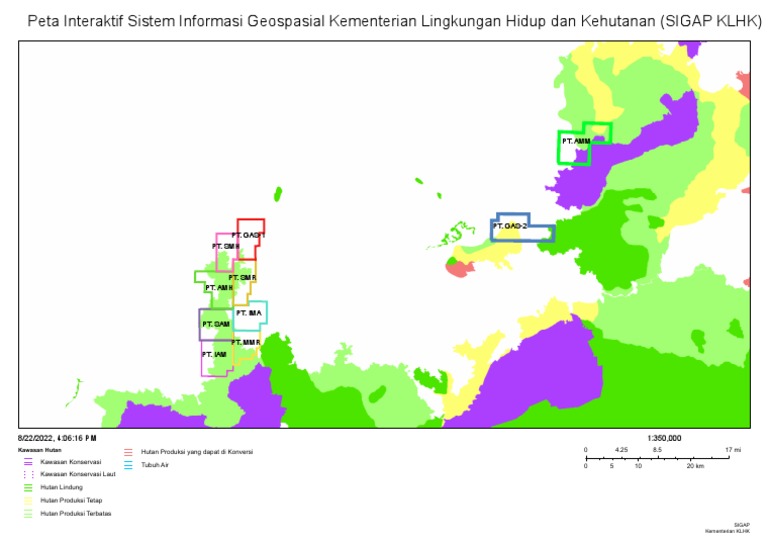 Peta 10 Iup Kawasan Hutan (KLHK) | PDF