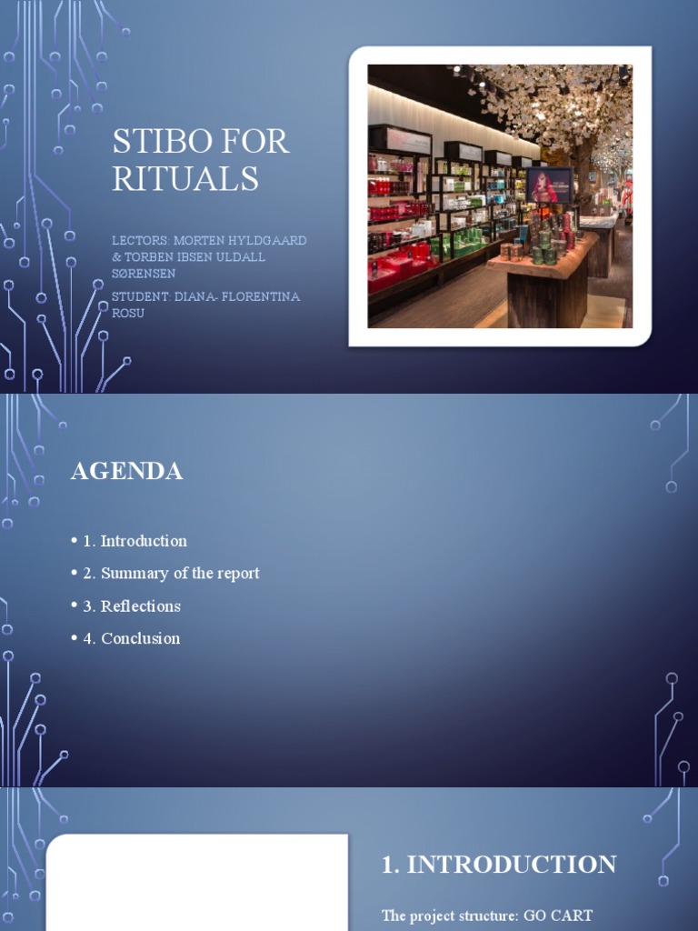 Stibo Systems Project Overview | PDF | Computers