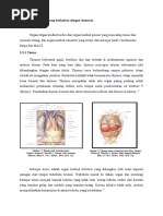 Anatomi Kelenjar Timus | PDF