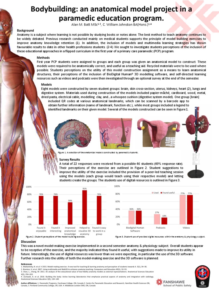 Bodybuilding Poster | PDF | Anatomy