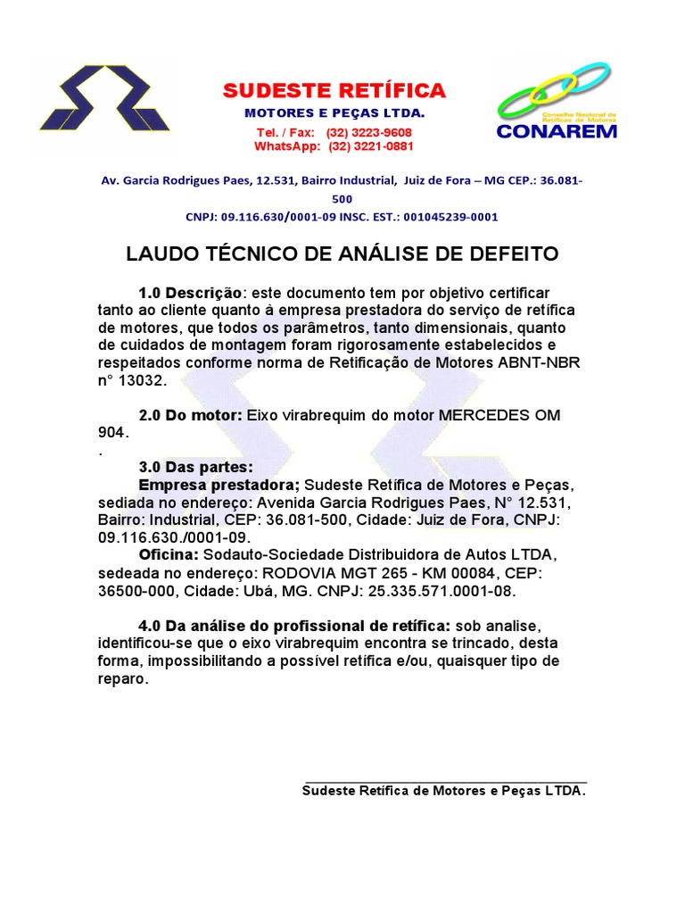 Modelo Laudo Tecnico | PDF