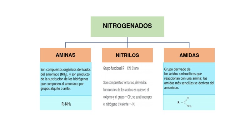 Mapa Conceptual de Nitrogenados | PDF