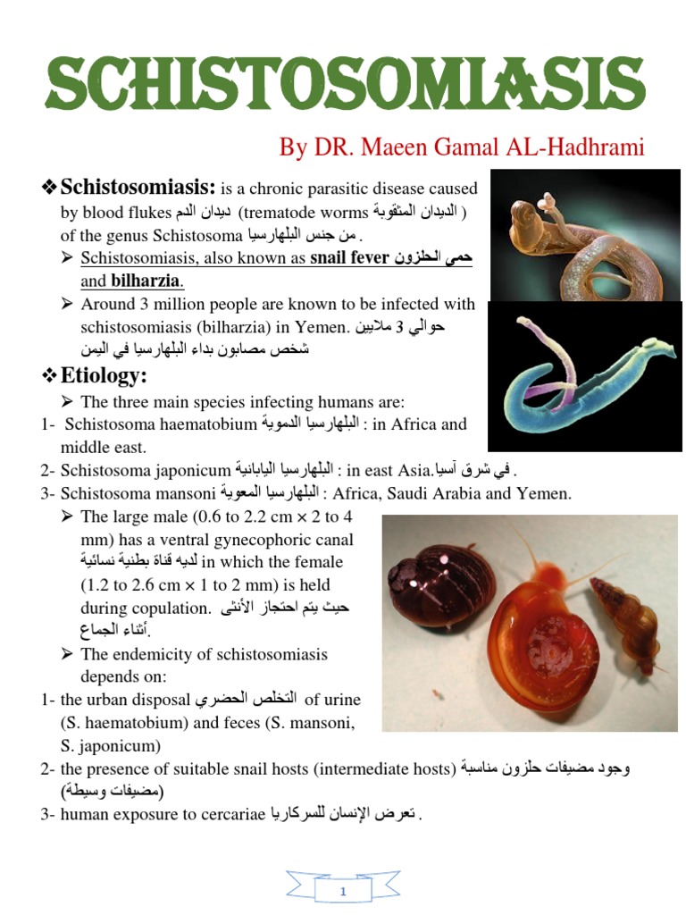 07 Schistosomiasis | PDF