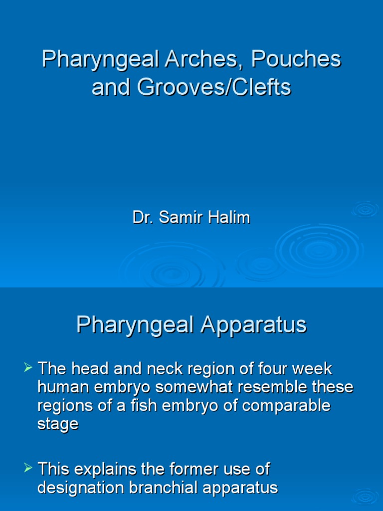 Development of the Pharyngeal Apparatus: Pharyngeal Arches, Pouches ...
