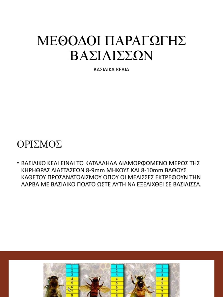 1.ΜΕΘΟΔΟΙ ΠΑΡΑΓΩΓΗΣ ΒΑΣΙΛΙΣΣΩΝ ΒΑΣΙΛΙΚΑ ΚΕΛΙΑ | PDF